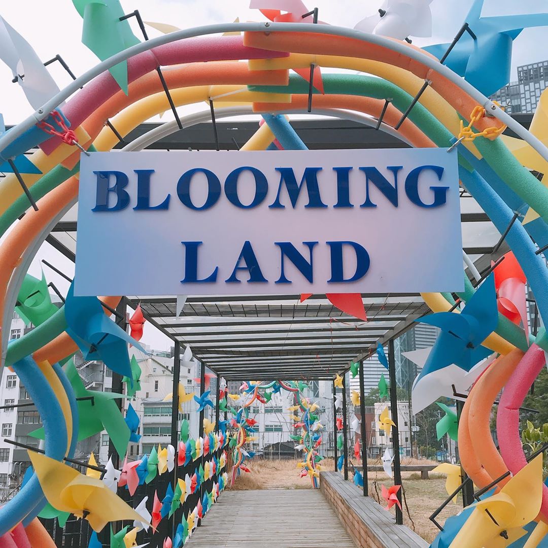 Blooming Land in Insadong is the latest must-visit IG-worthy photo hotspot