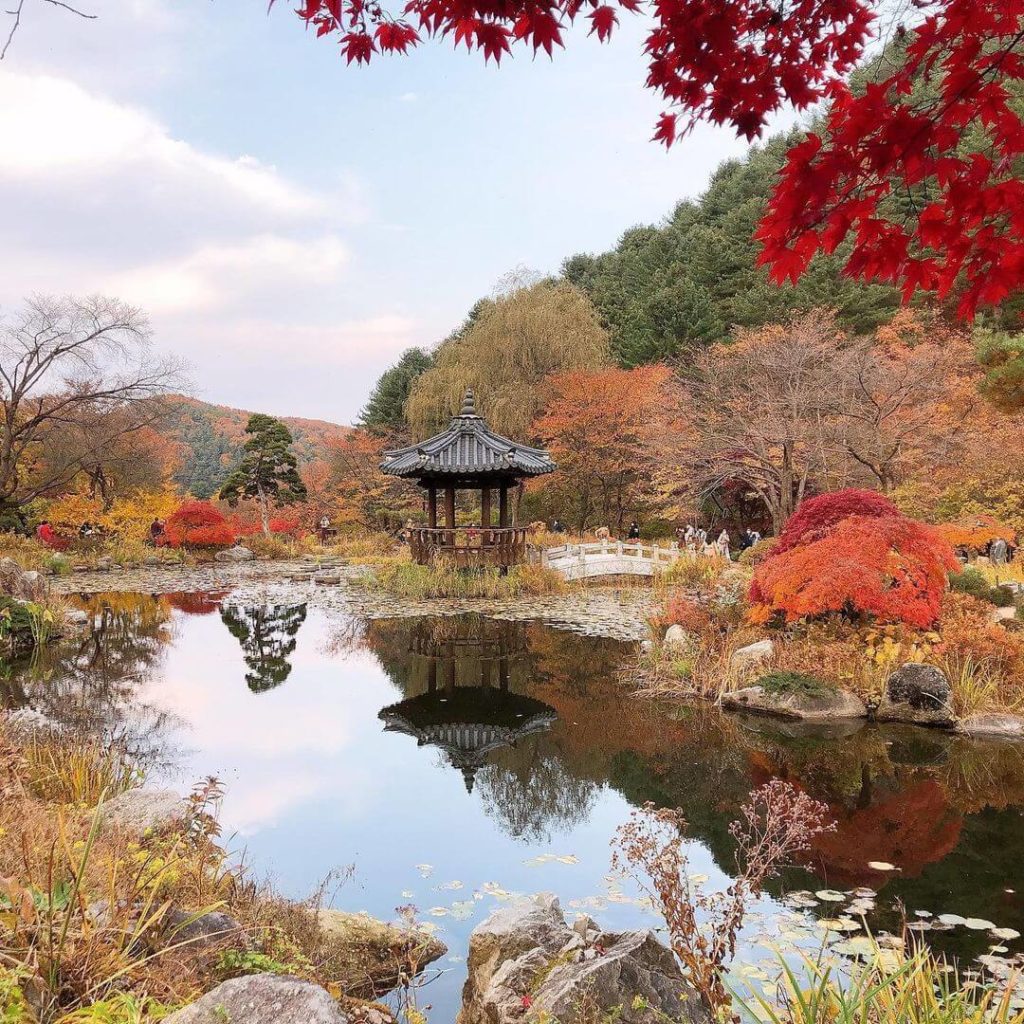 The Garden of Morning Calm: A Botanical Paradise In Gyeonggi-do