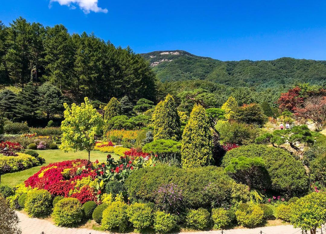 The Garden of Morning Calm: A Botanical Paradise In Gyeonggi-do