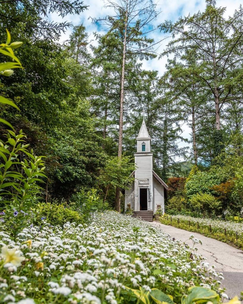 The Garden of Morning Calm: A Botanical Paradise In Gyeonggi-do