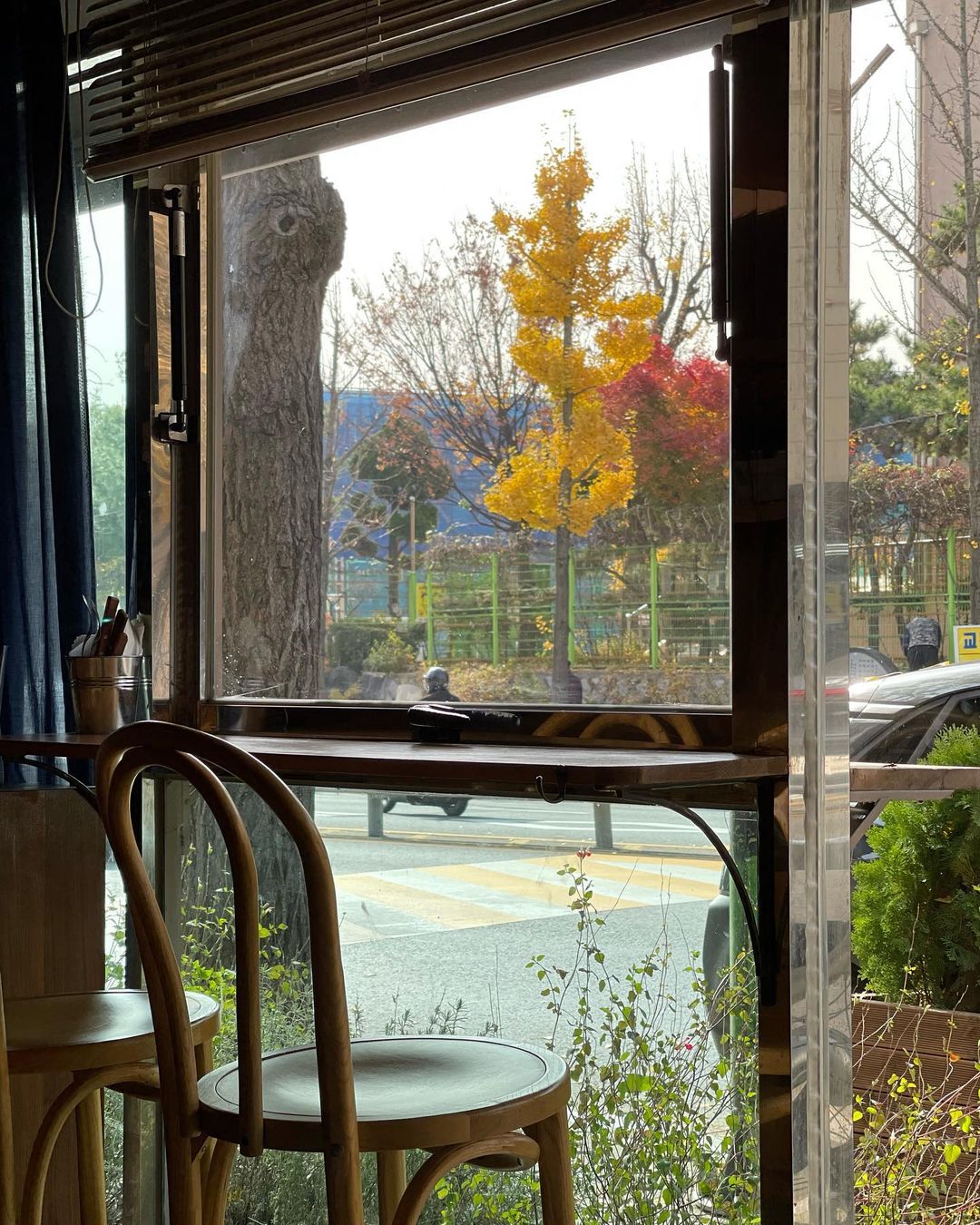 Café Sinola: Paris In Seoul For Lovers Of Vinyl Records & Analog Music