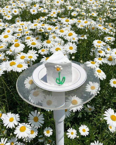 Mahogany Coffee: Cafe In Incheon Known As The Daisy Paradise