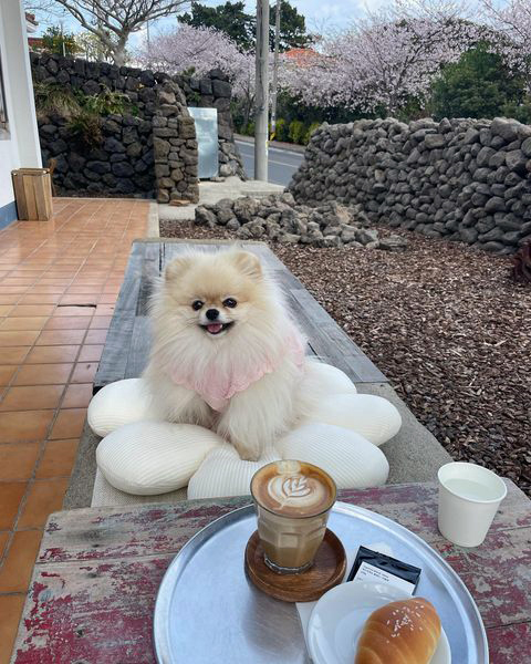 Mohen Coffee: Industrial-style Cafe That Looks Like A Construction Site