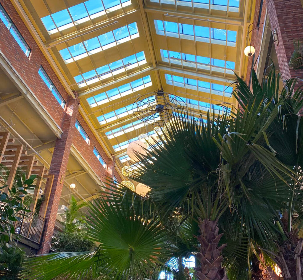 Forest Outings: Eat Croissants In A Greenhouse Cafe With A Mini Lake