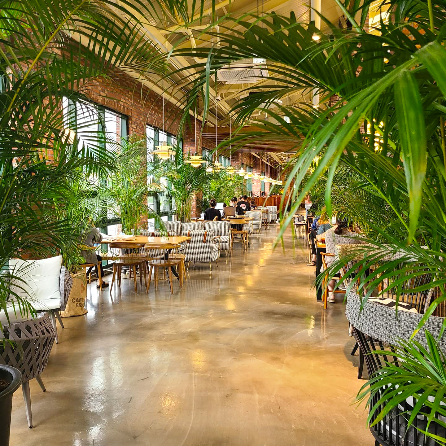 Forest Outings: Eat Croissants In A Greenhouse Cafe With A Mini Lake