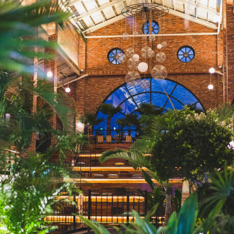 Forest Outings: Eat Croissants In A Greenhouse Cafe With A Mini Lake