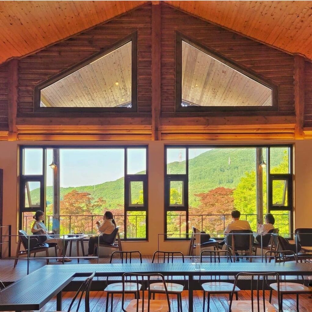 Cafe Soom: Greenhouse Cafe With A Therapeutic View To Heal Your Mind