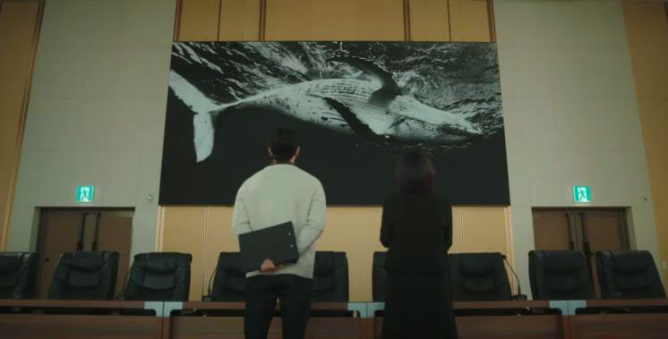 9 Extraordinary Attorney Woo Facts That Make The Drama Extraordinary