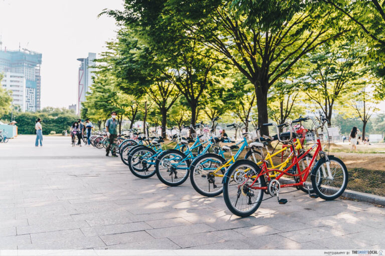 Han River Park Guide: Food Delivery To Your Picnic Spot & Bicycle Rental