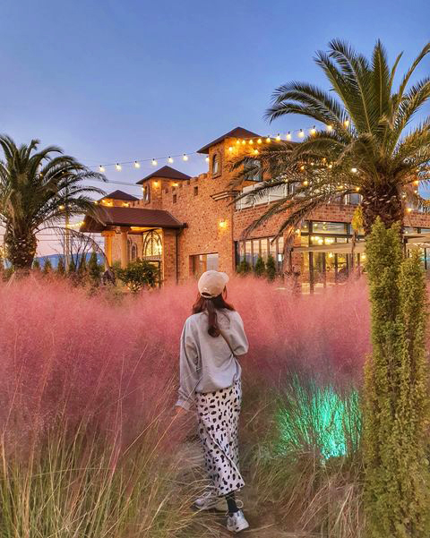 Viaggio: Cafe in Busan With Its Own Garden, Sheep & A Scenic River View