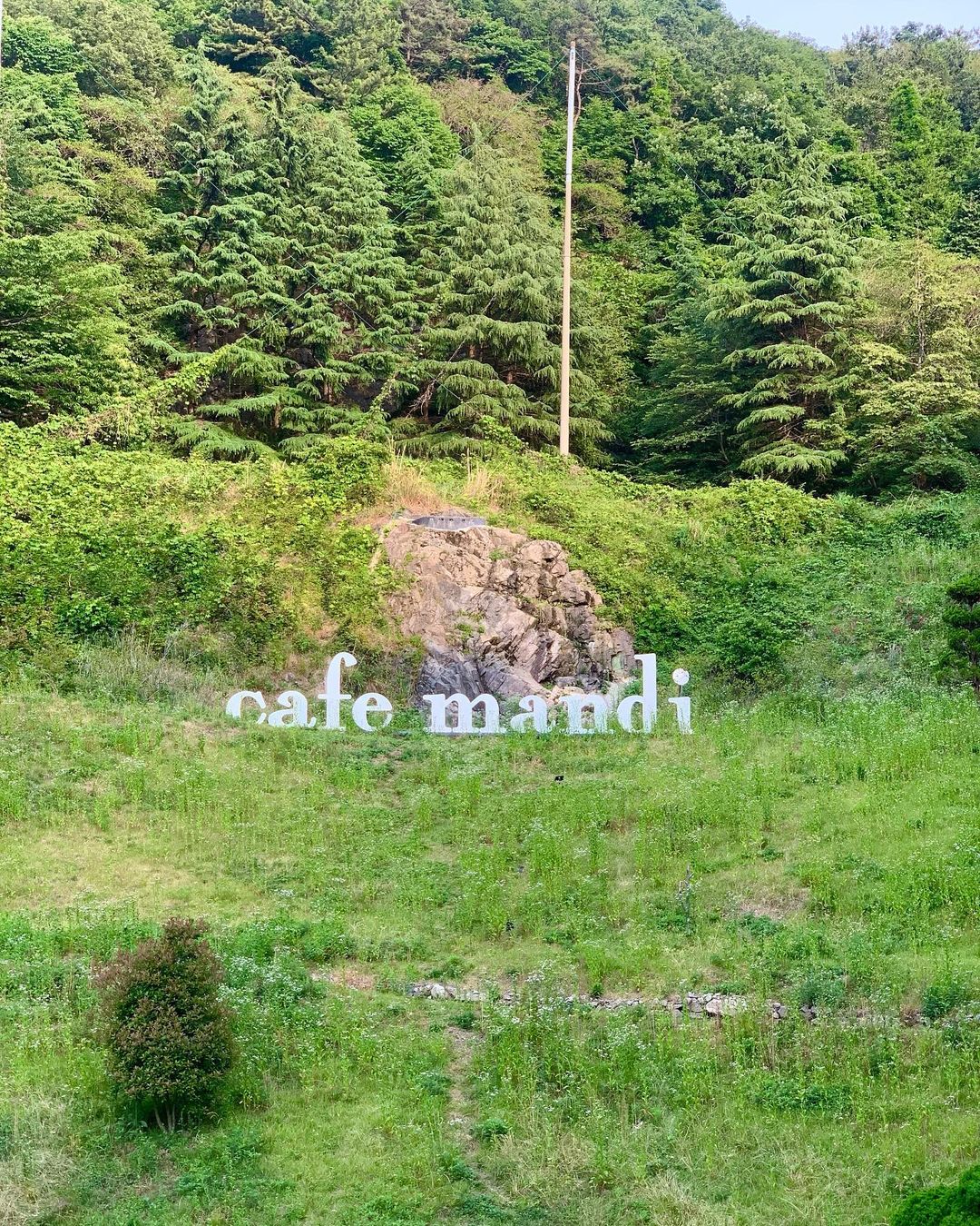 Cafe Mandi: Hillside Cafe Set In Nature To Whisk You Away From Reality