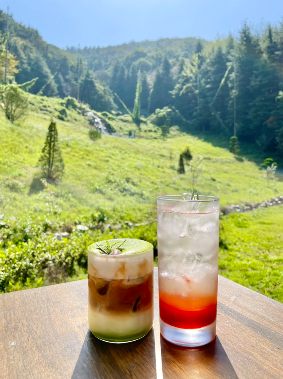 Cafe Mandi: Hillside Cafe Set In Nature To Whisk You Away From Reality