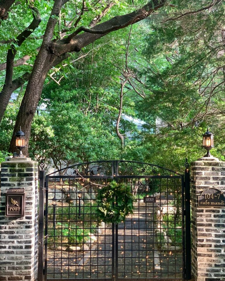 Cafe Mandi: Hillside Cafe Set In Nature To Whisk You Away From Reality