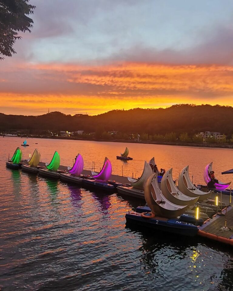 Moon Boat: A Colourful Boat Ride Experience Featured In Transit Love 2