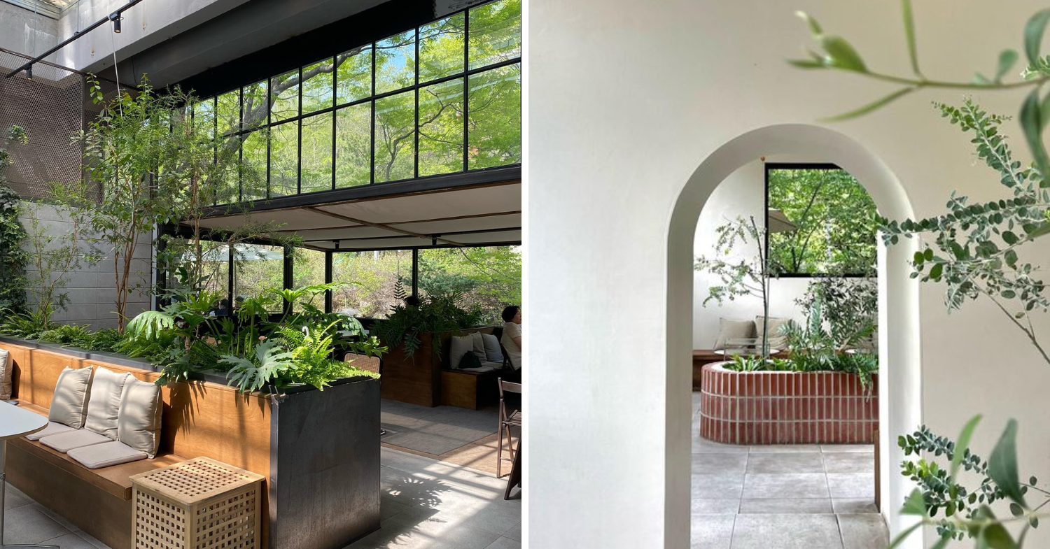 Cafe Sanare: Drink Coffee Next To Bukhansan & Play With Cute Cats