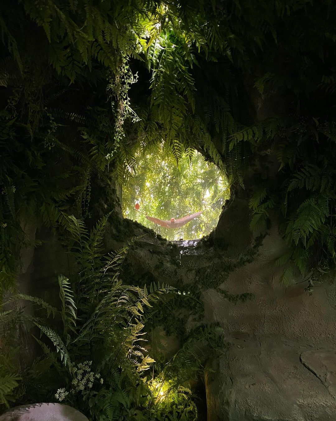 Sumsei Terrarium: Immersive Gallery-Cafe To Reconnect With Nature