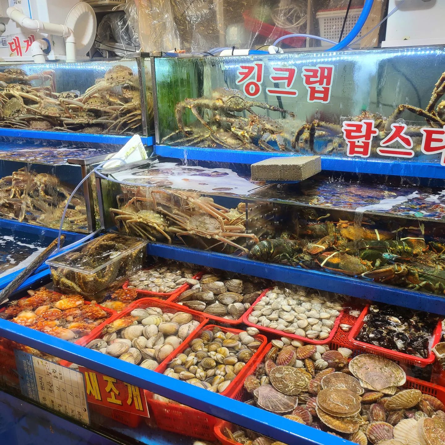 7 Fish Markets In Korea Where You Can Feast On Fresh King Crabs