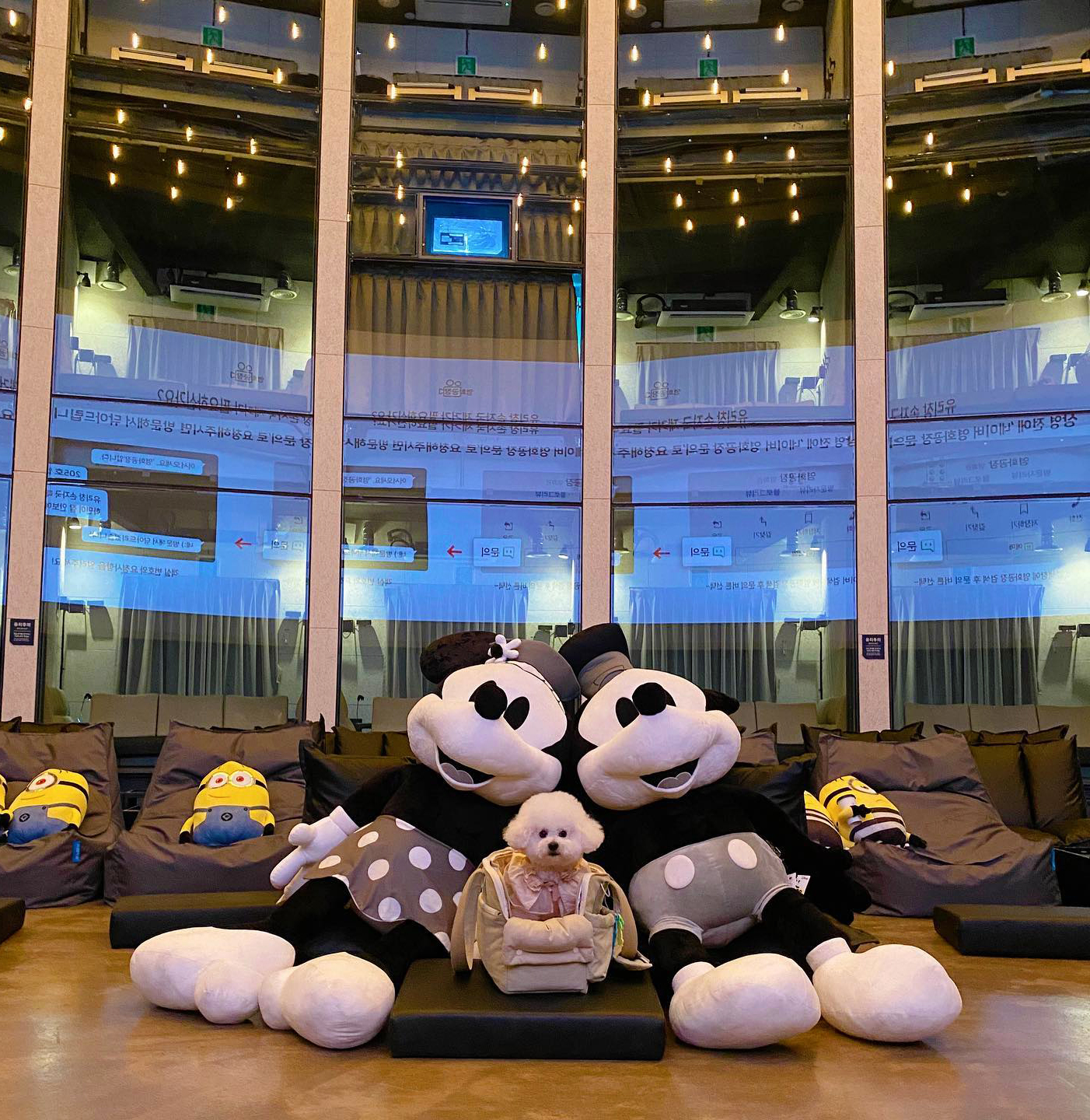 Cinema Factory: Watch Movies In Private Rooms Equipped With Beds