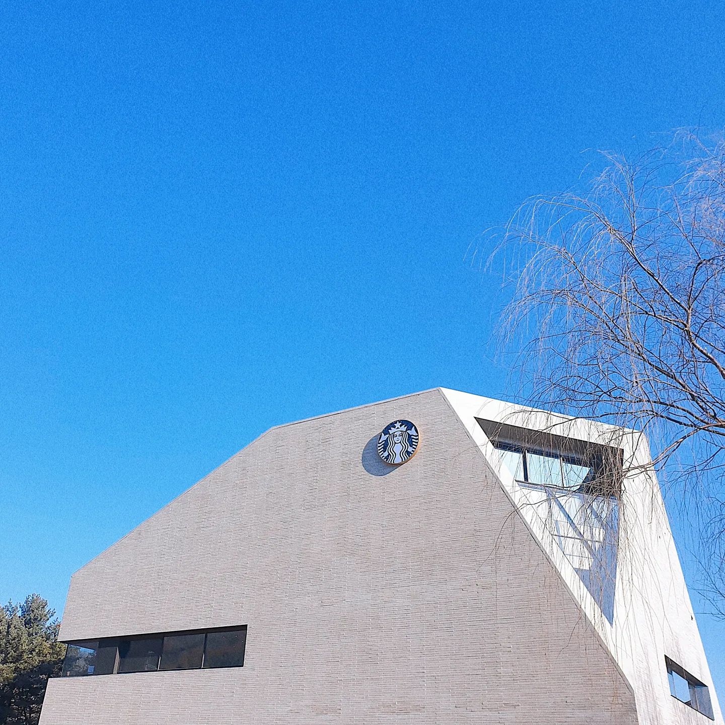 Korea’s 1st Dog-Friendly Starbucks Is 3 Storeys High & Has A Huge Lawn