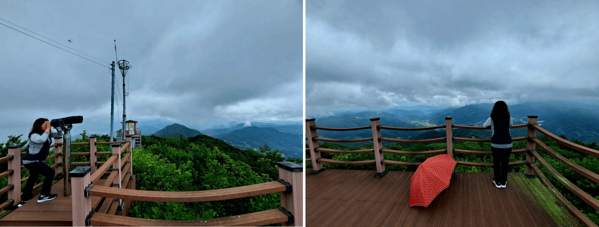 Geochang Gamaksan Wind Farm: Windmill Complex With Purple Flowers