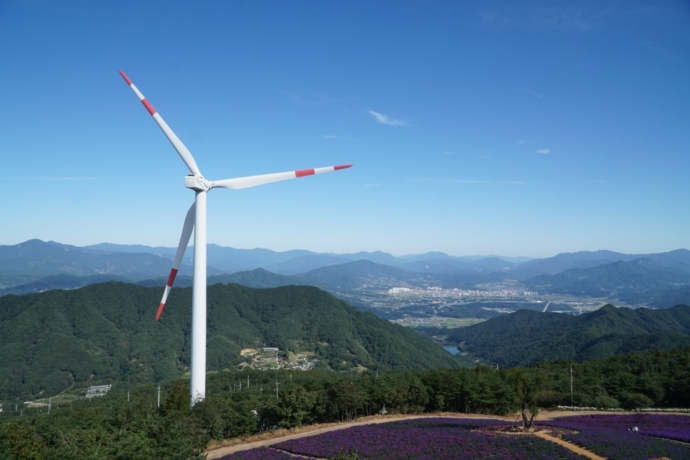 Geochang Gamaksan Wind Farm: Windmill Complex With Purple Flowers