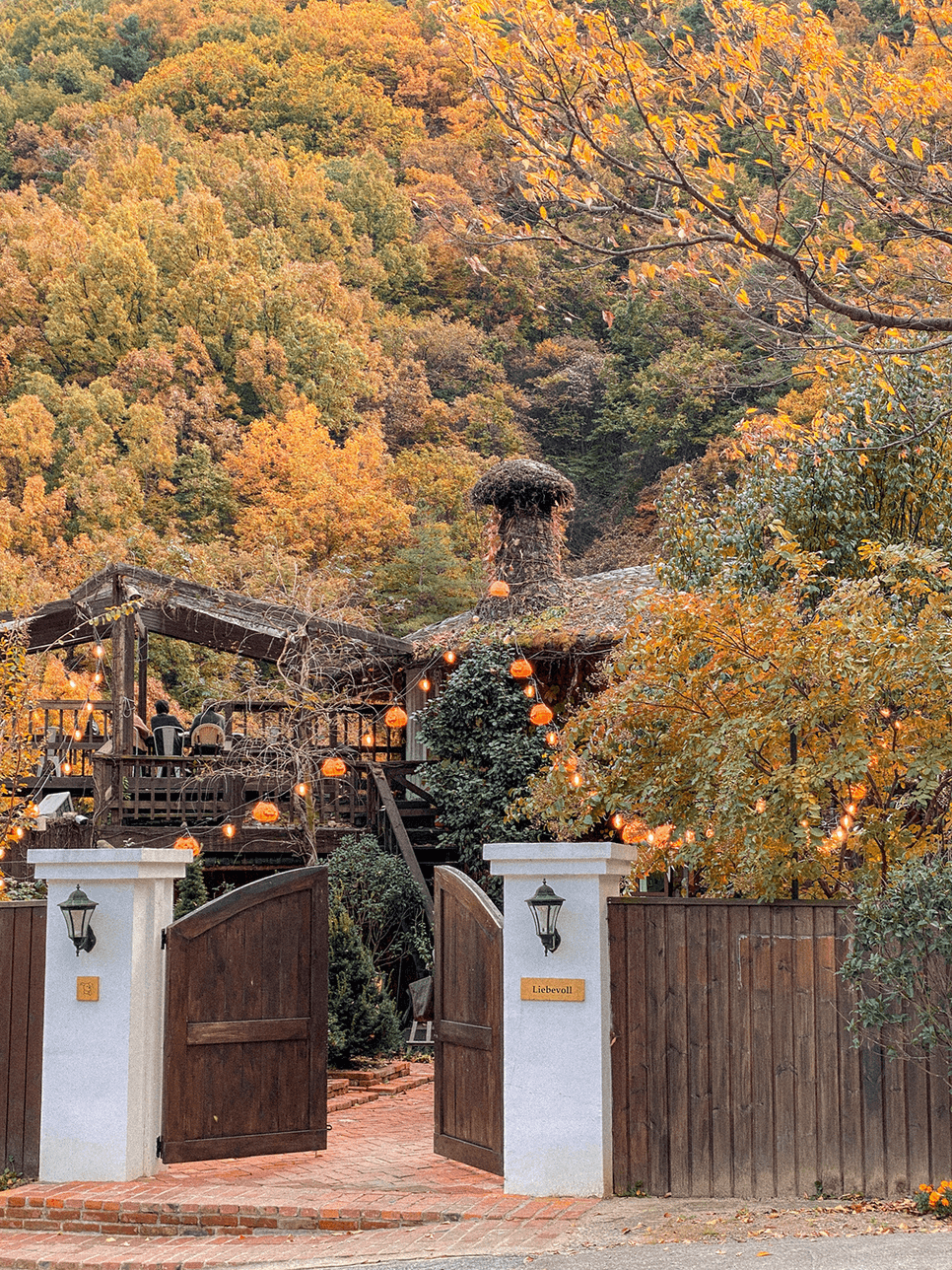 Liebevoll: Cottagecore Cafe In Korea As Big As A Manhattan City Block