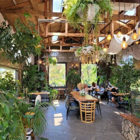 Little Prince Tangerine Field: Cafe In Jeju Where You Can Feed Animals