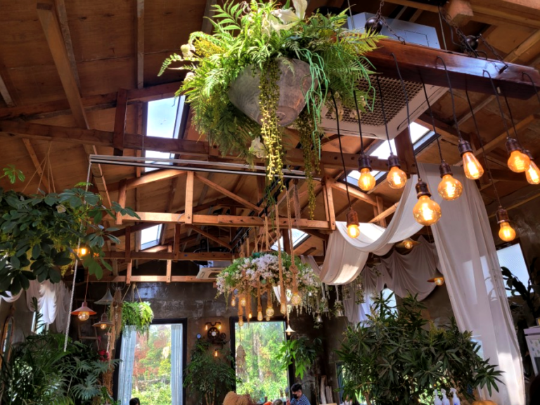 Little Prince Tangerine Field: Cafe In Jeju Where You Can Feed Animals