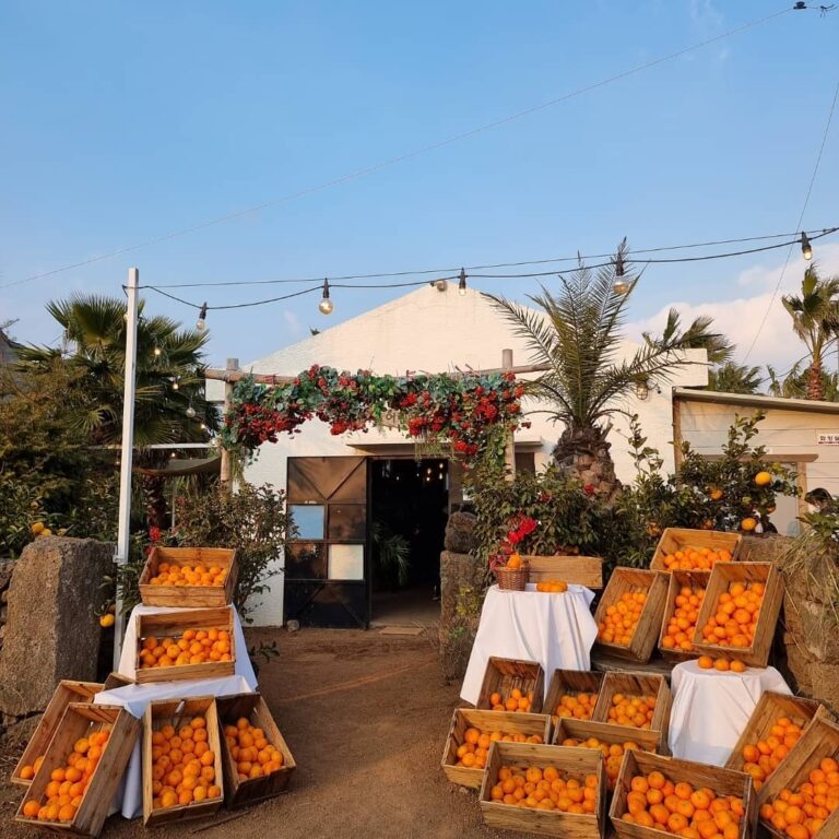Little Prince Tangerine Field: Cafe In Jeju Where You Can Feed Animals